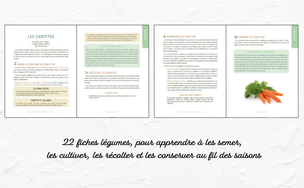 Les recettes de Jérôme & Lucile - De la graine à l’assiette : cultiver ...